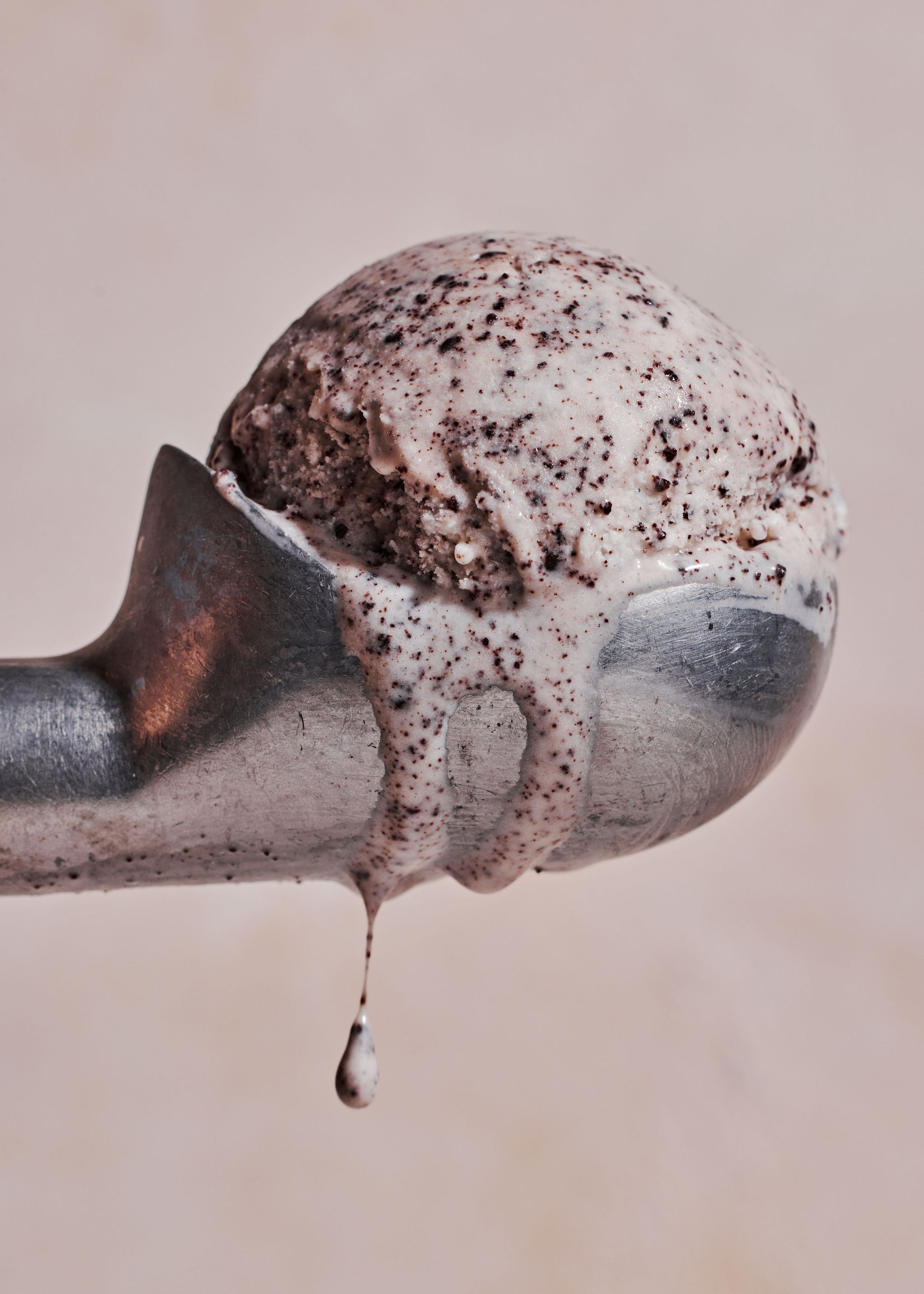 Life Raft Treats - Charleston - Roaming Hunger